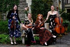 Devon String Quartets | Wedding String Quartets in Devon